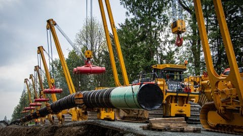 GRID-GUARD HD PLUS - Bedrock Environmental